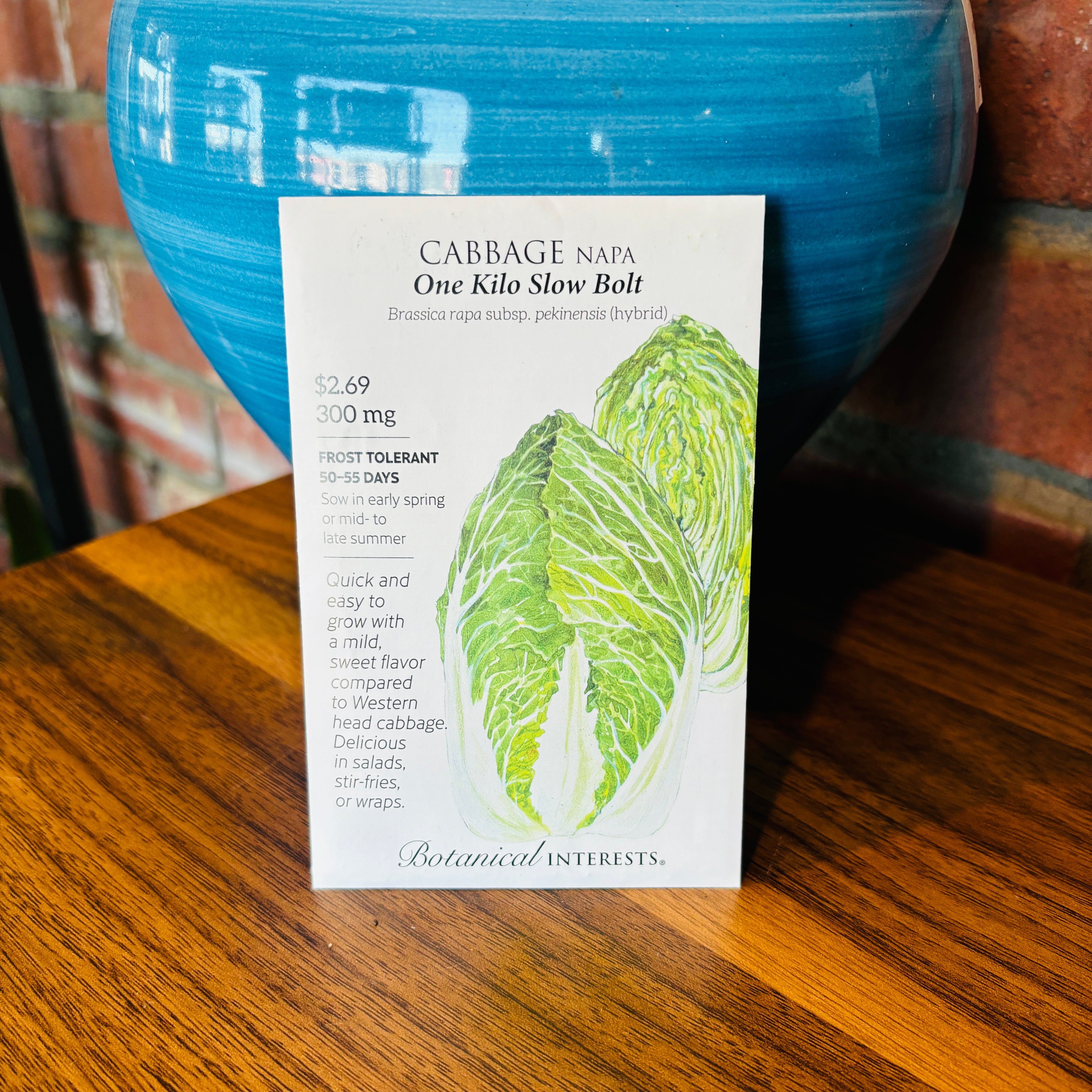 Cabbage Napa One Kilo Slow Bolt | Paisley Gardens