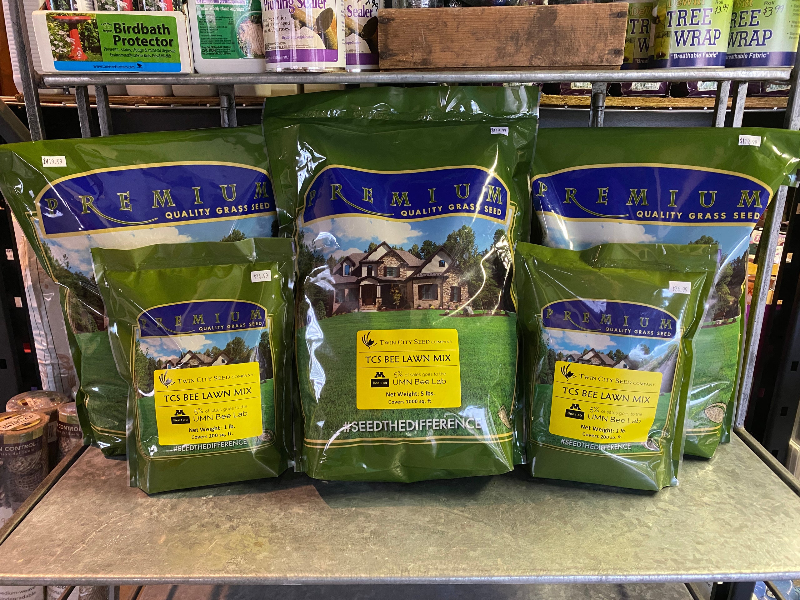 Bee Lawn Seed Mix | Paisley Gardens, LLC