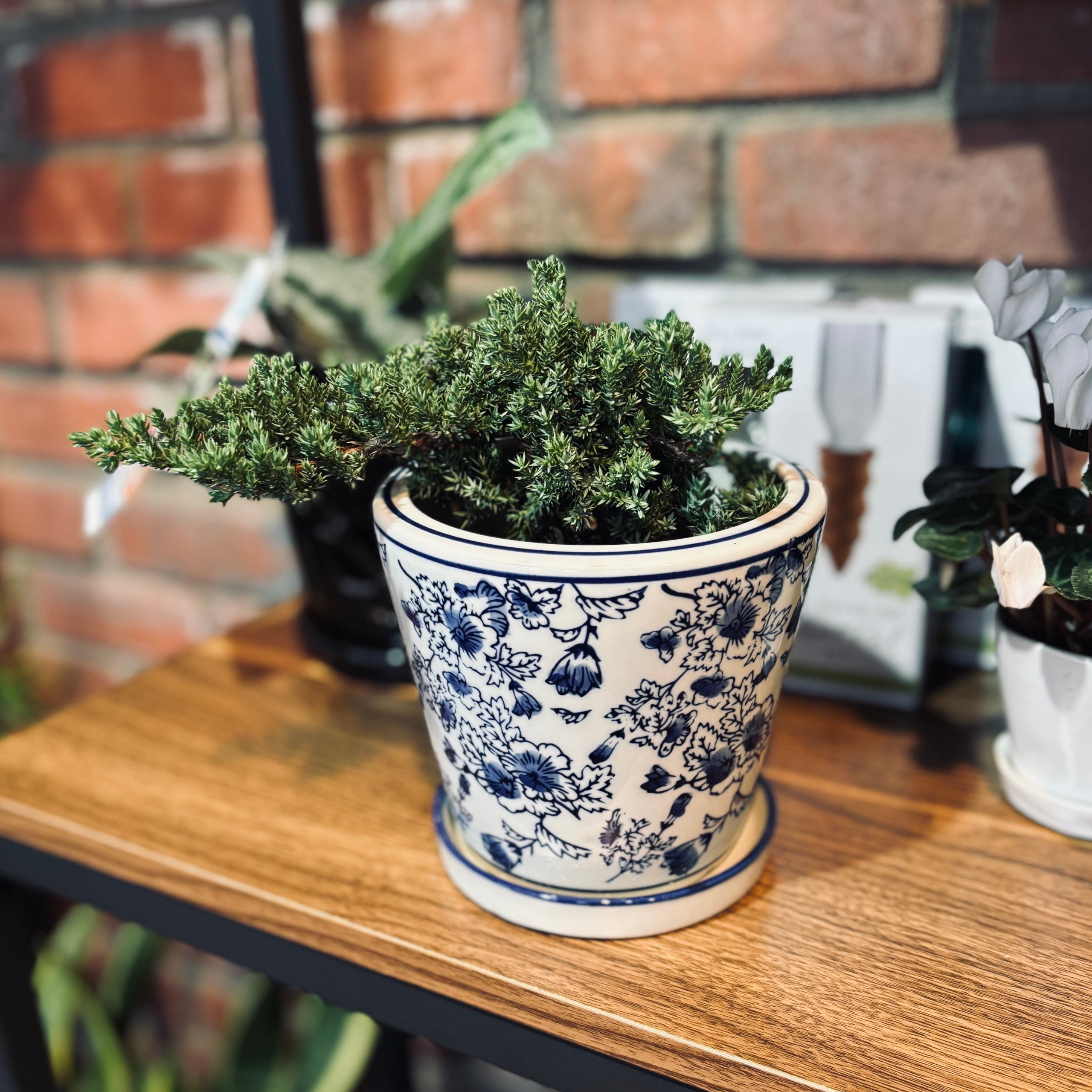 4" Ceramic Delft Blue/White Pot | Paisley Gardens, LLC