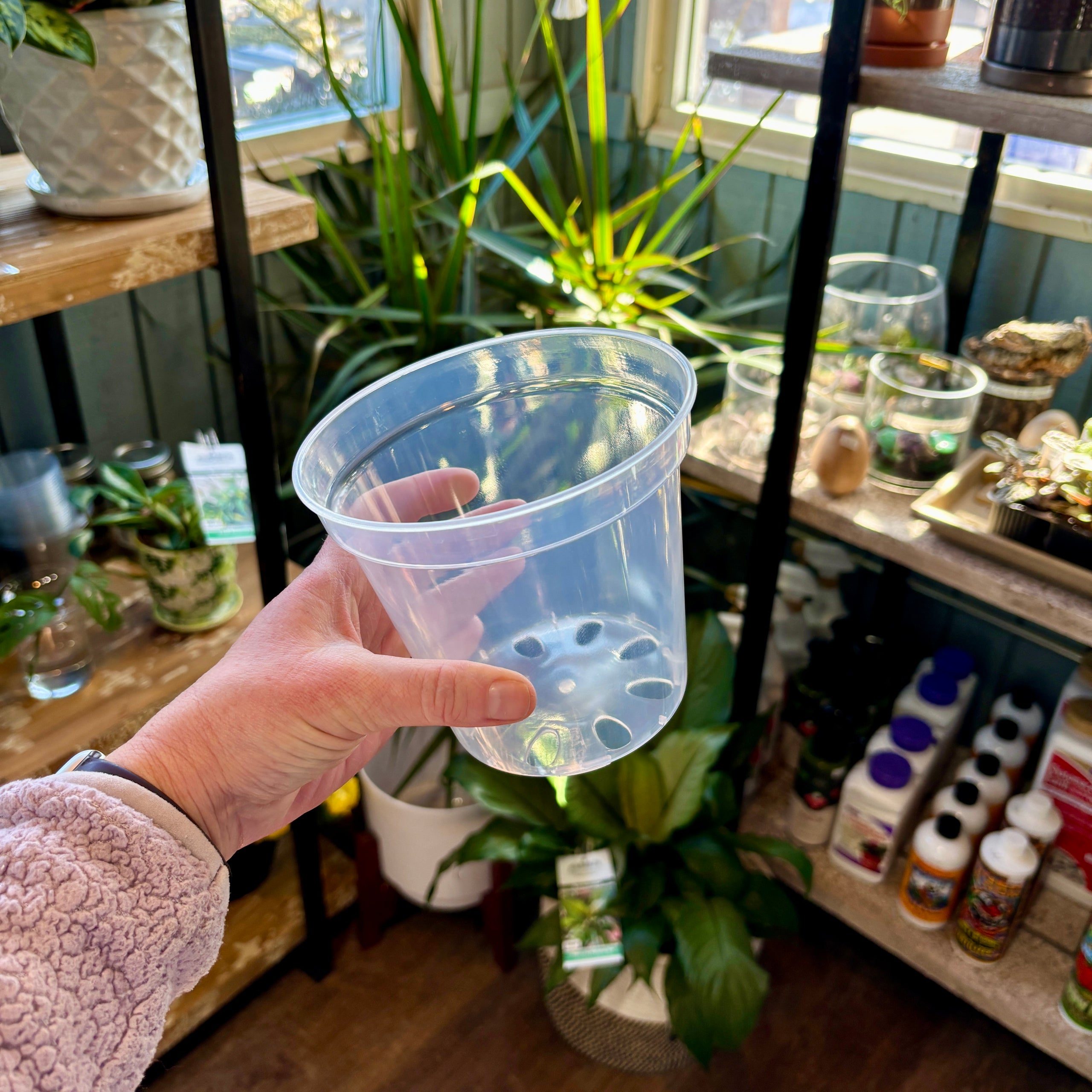 5" Clear Plastic Grower Pot | Paisley Gardens, LLC