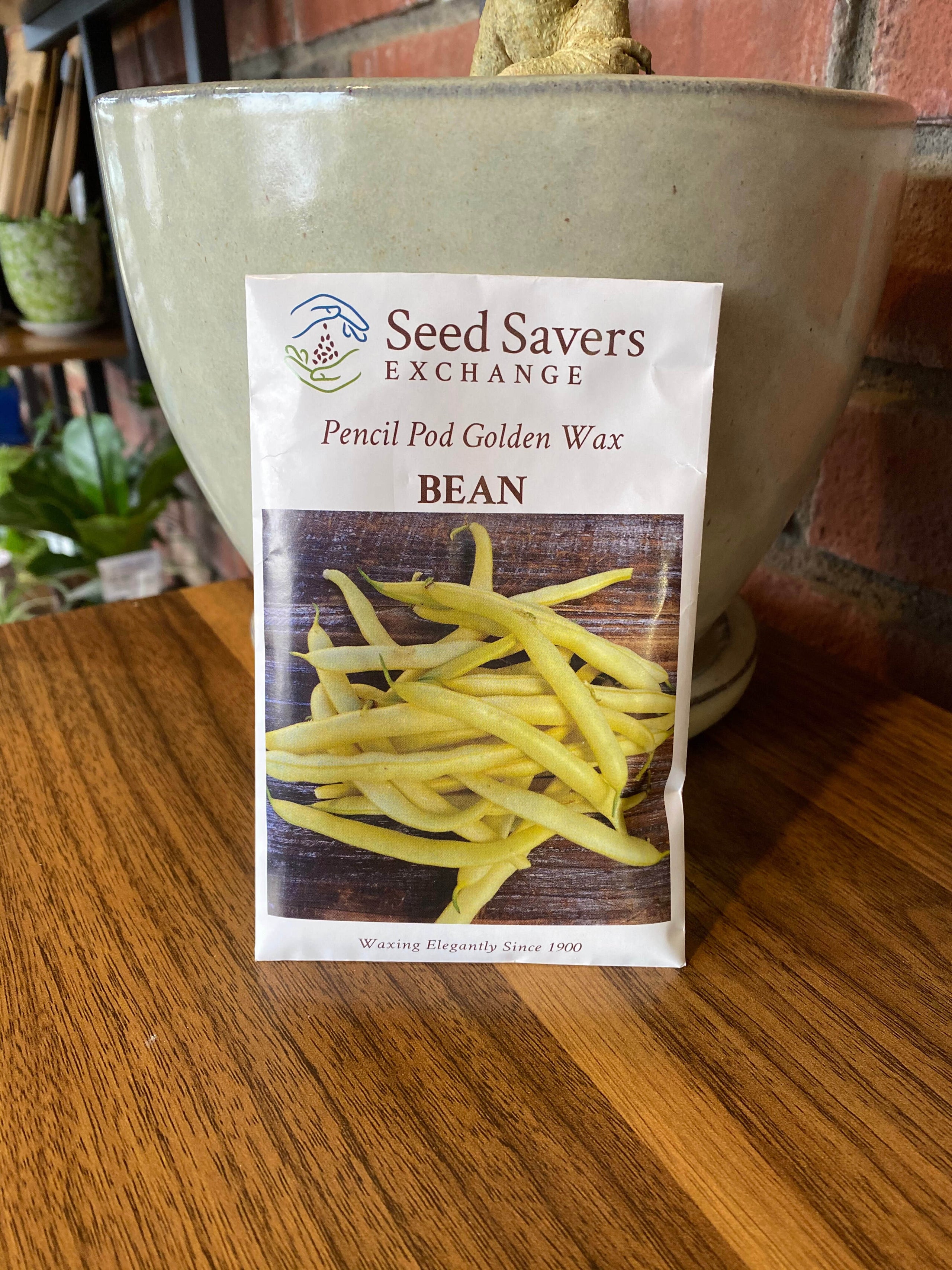 Bean Pencil Pod Golden Wax | Paisley Gardens, LLC
